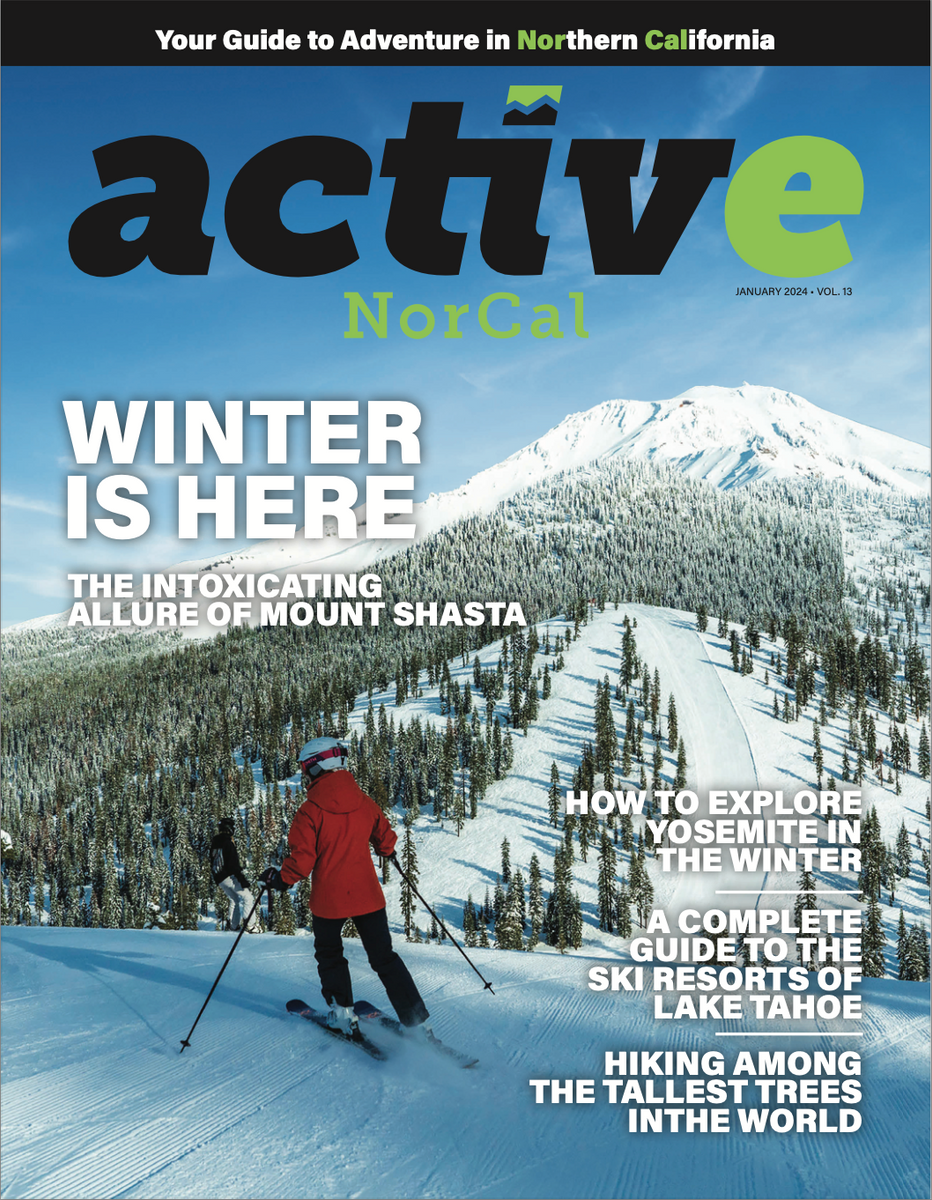 Active NorCal Magazine Issue #13